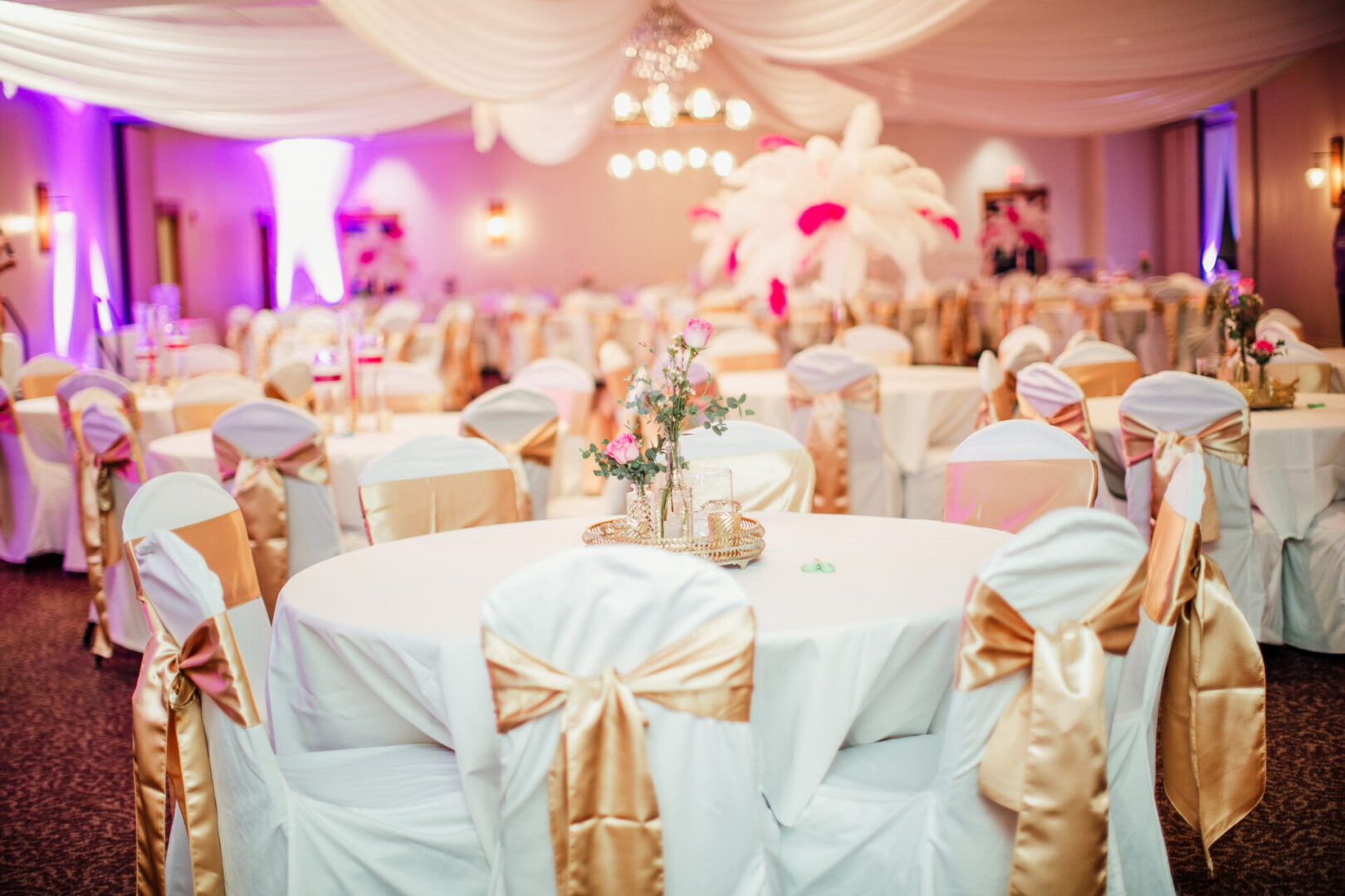 Live at Five Points | Social Events and Entertainment Shows